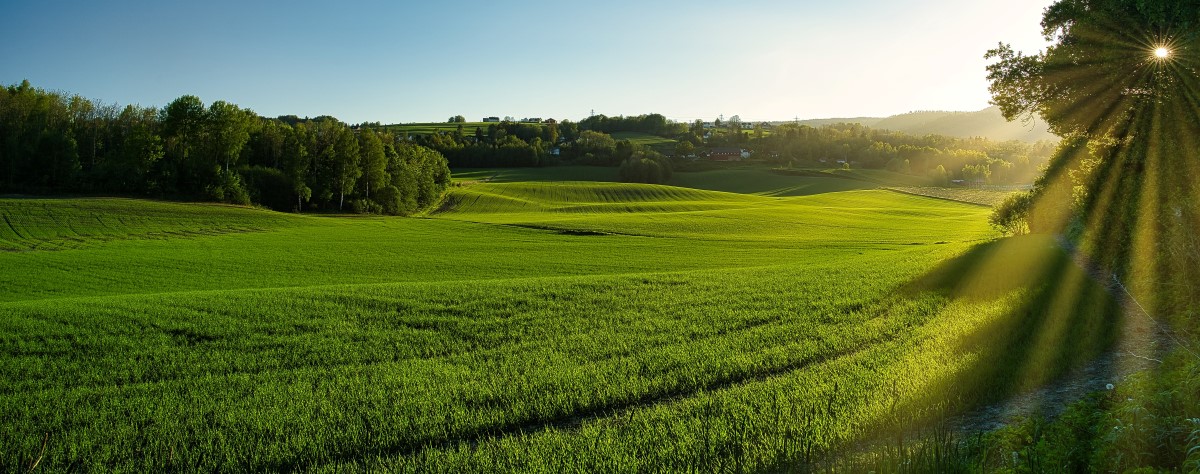 Forside - Lier kommune