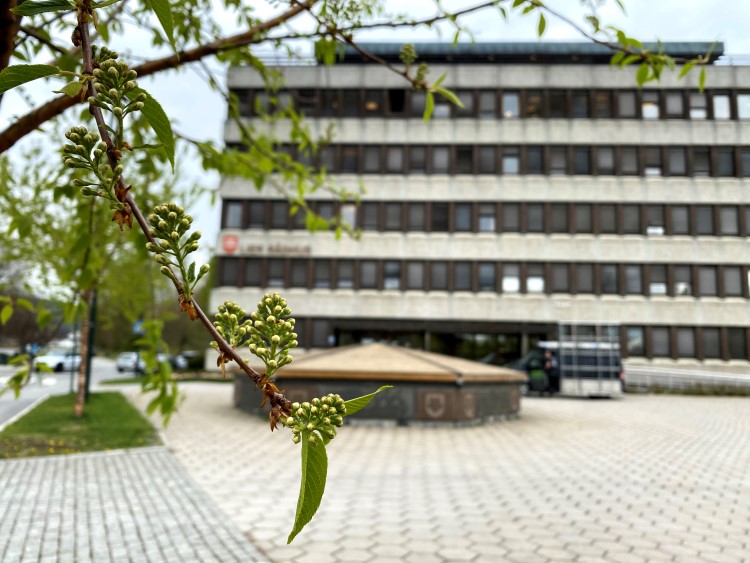 Dette er de vedtatte omstillingstiltakene - Lier kommune